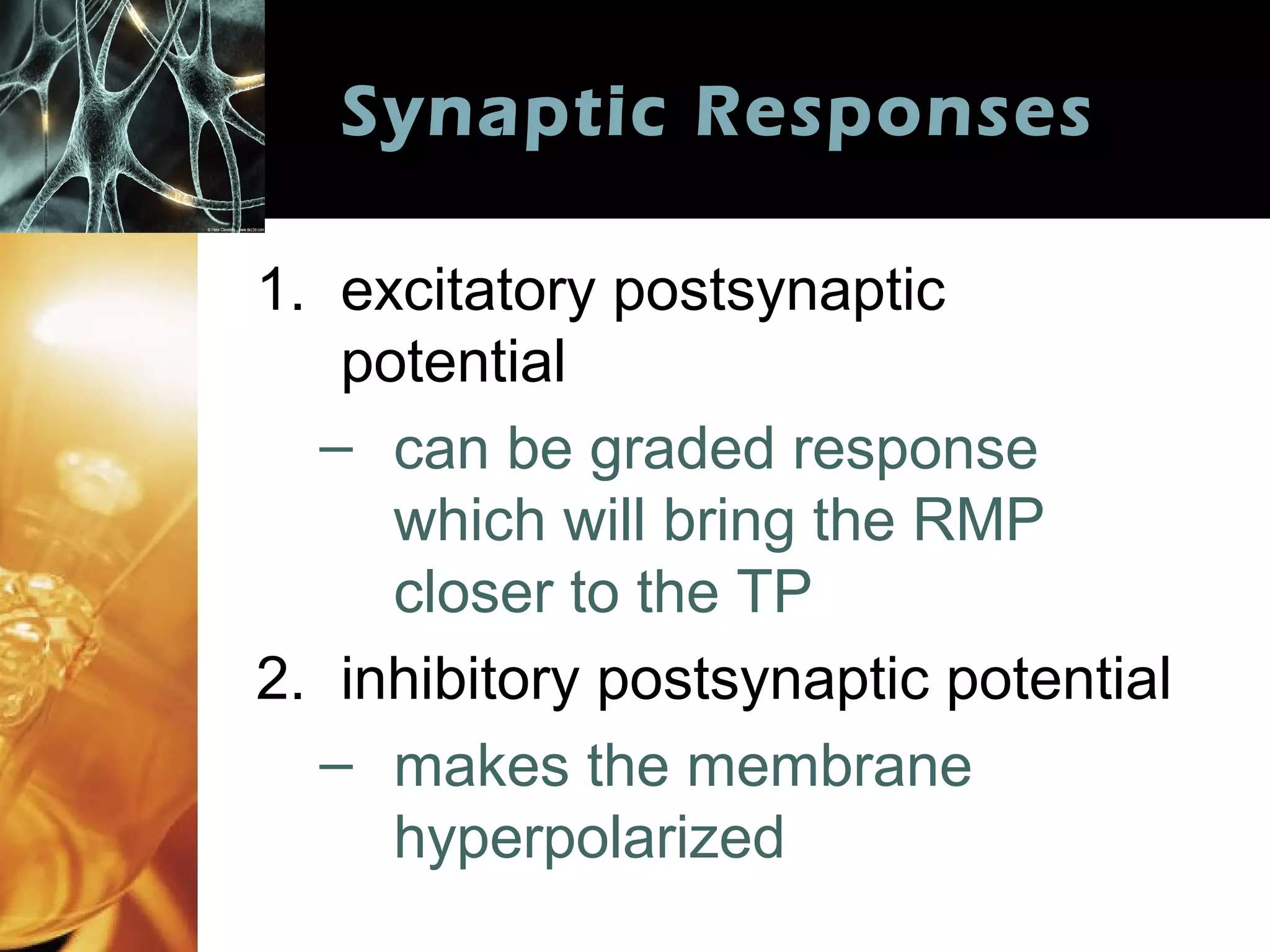 7147633 membrane-physiology | PPT