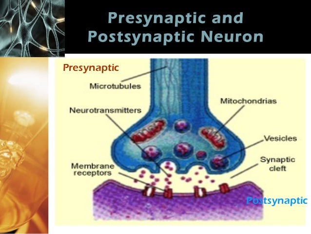 7147633 membrane-physiology