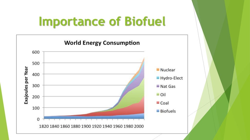 Biofuel-Powerpoint-main