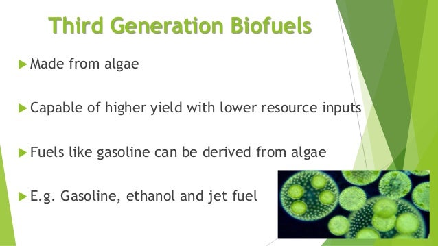 Biofuel-Powerpoint-main