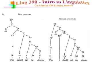 7151294.ppt | Fitness and Exercise | Healthy Living