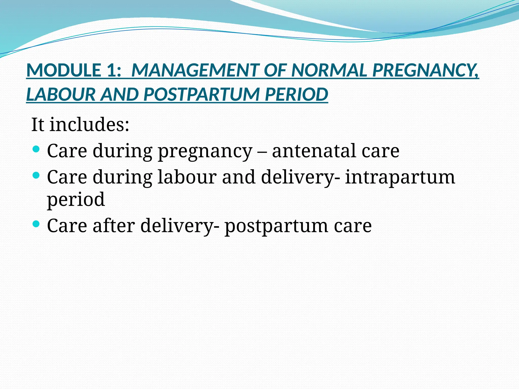 71687118-Seminar-on-Skilled-Birth-SBA-Module.pptx