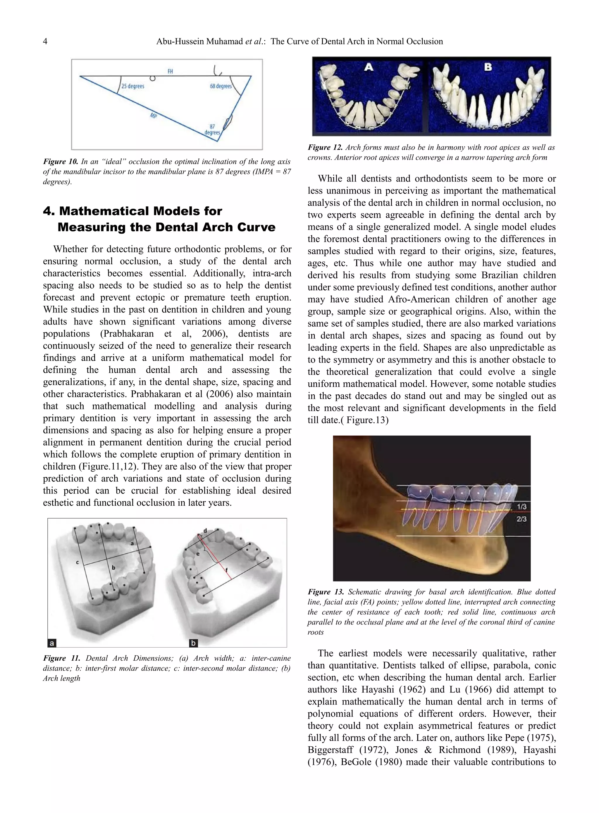 The curve of dental arch in normal occlusion | DOC