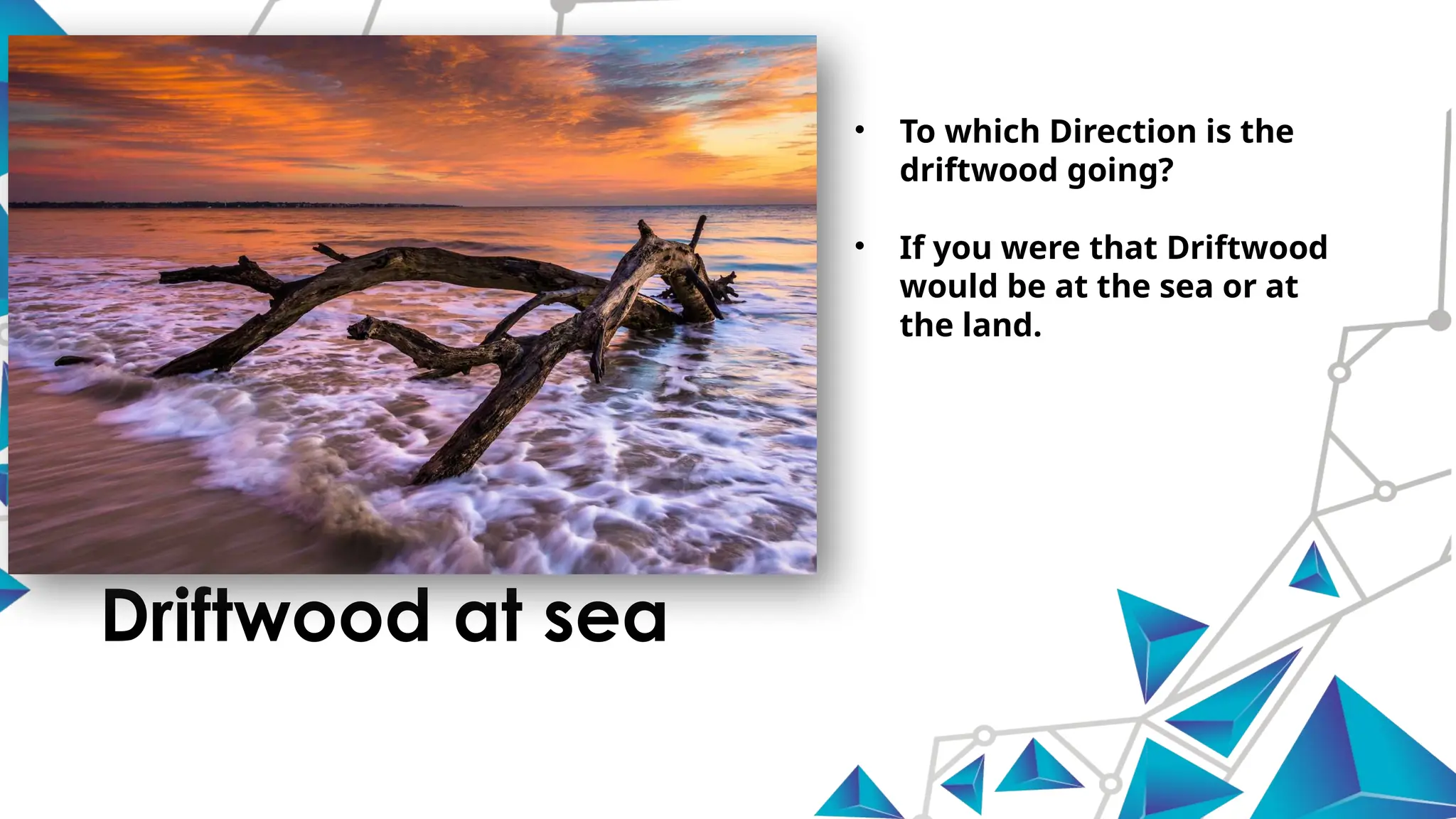 71735440900000000000-Reason-vs-Will.pptx