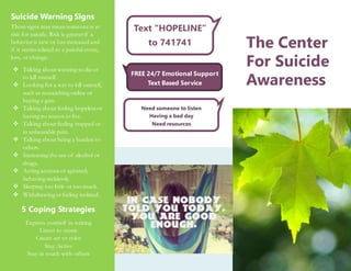 CFSA Brochure FINAL | DOCX