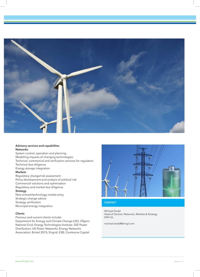 NMS Capability Sheet | PDF