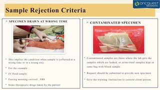 Sample Acceptance-Rejection-Criteria in lab | PPTX