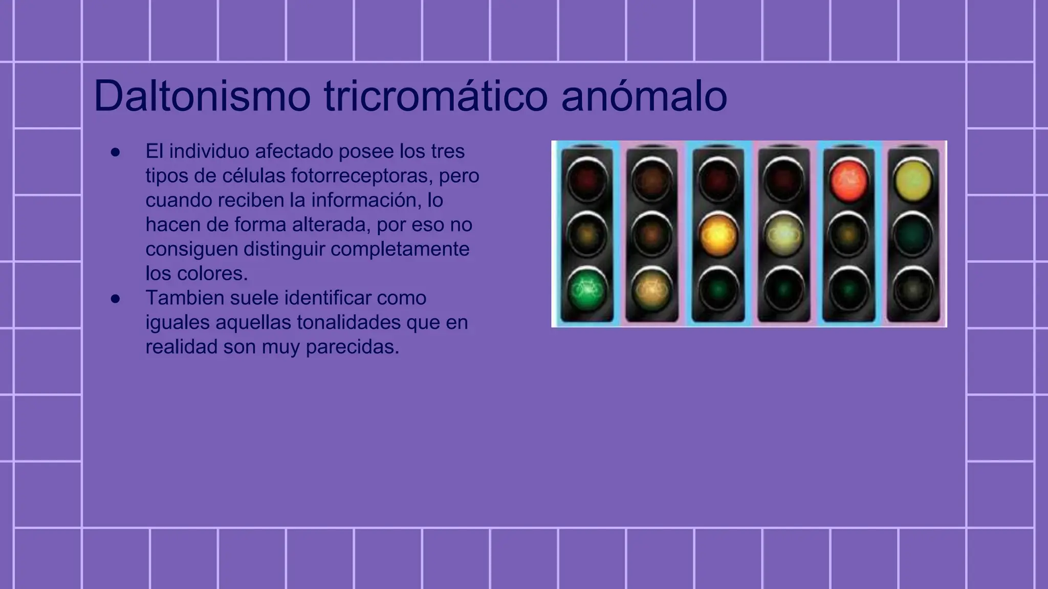 719162007-DALTONISMO una presentación para entender el daltonismo | PPT
