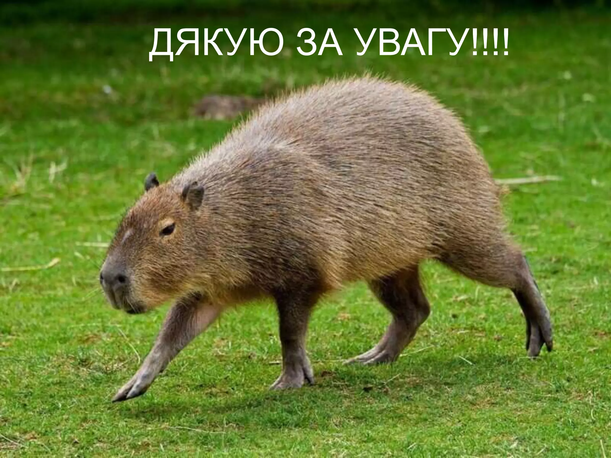 719171_AEB93_prezentaciya_leonid_mosendz (NXPowerLite).ppt