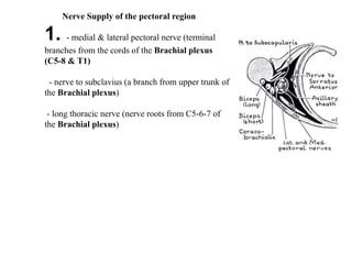 719_Pectoral_Region.pptx