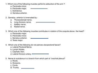 719_Pectoral_Region.pptx