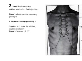 719_Pectoral_Region.pptx