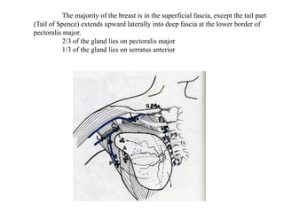 719_Pectoral_Region.pptx