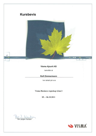 Visma Business regnskap1 | PDF