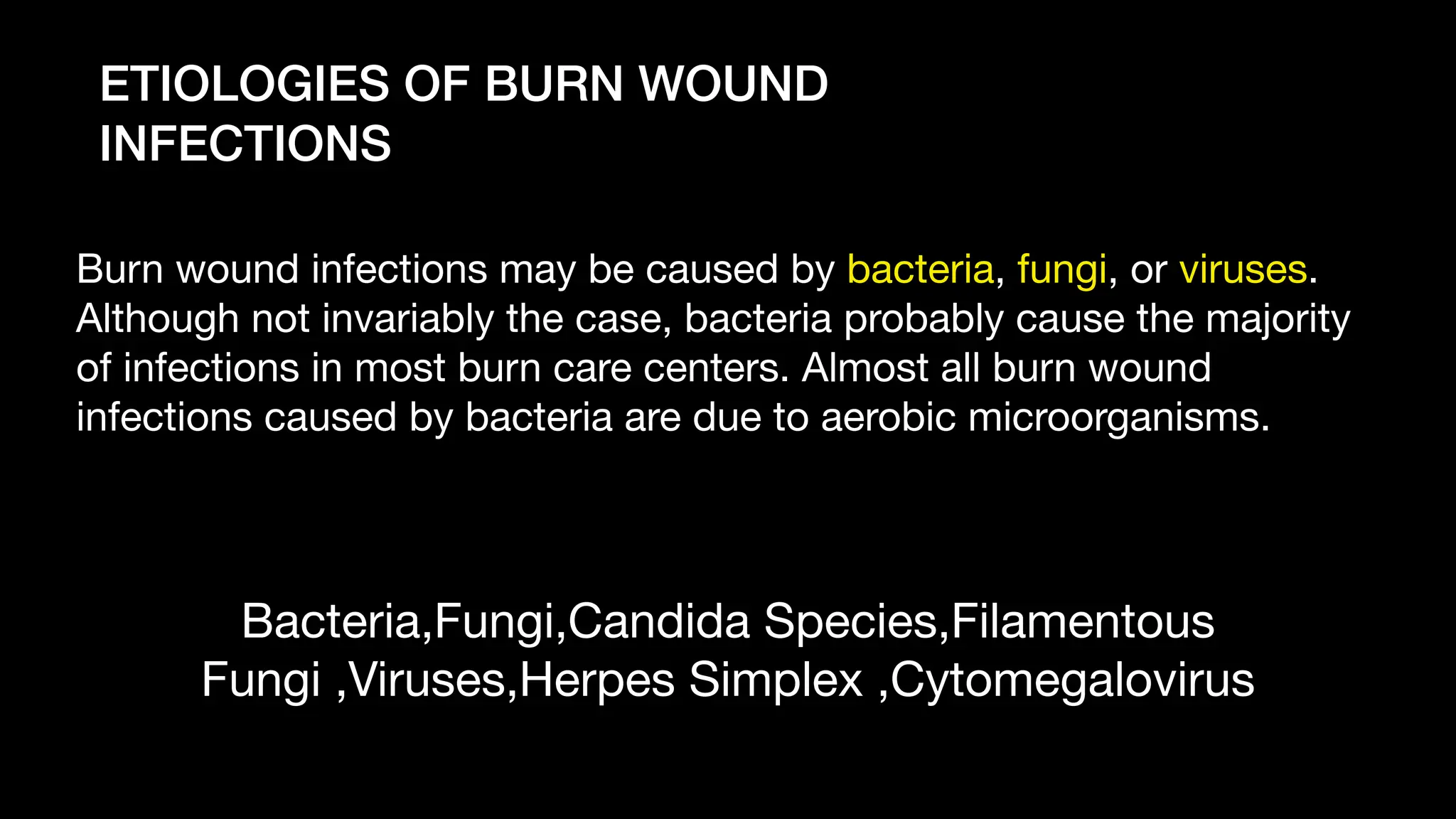 Healthcare-Associated_Burn_Wound_Infections.pdf