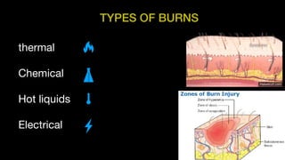 Healthcare-Associated_Burn_Wound_Infections.pdf