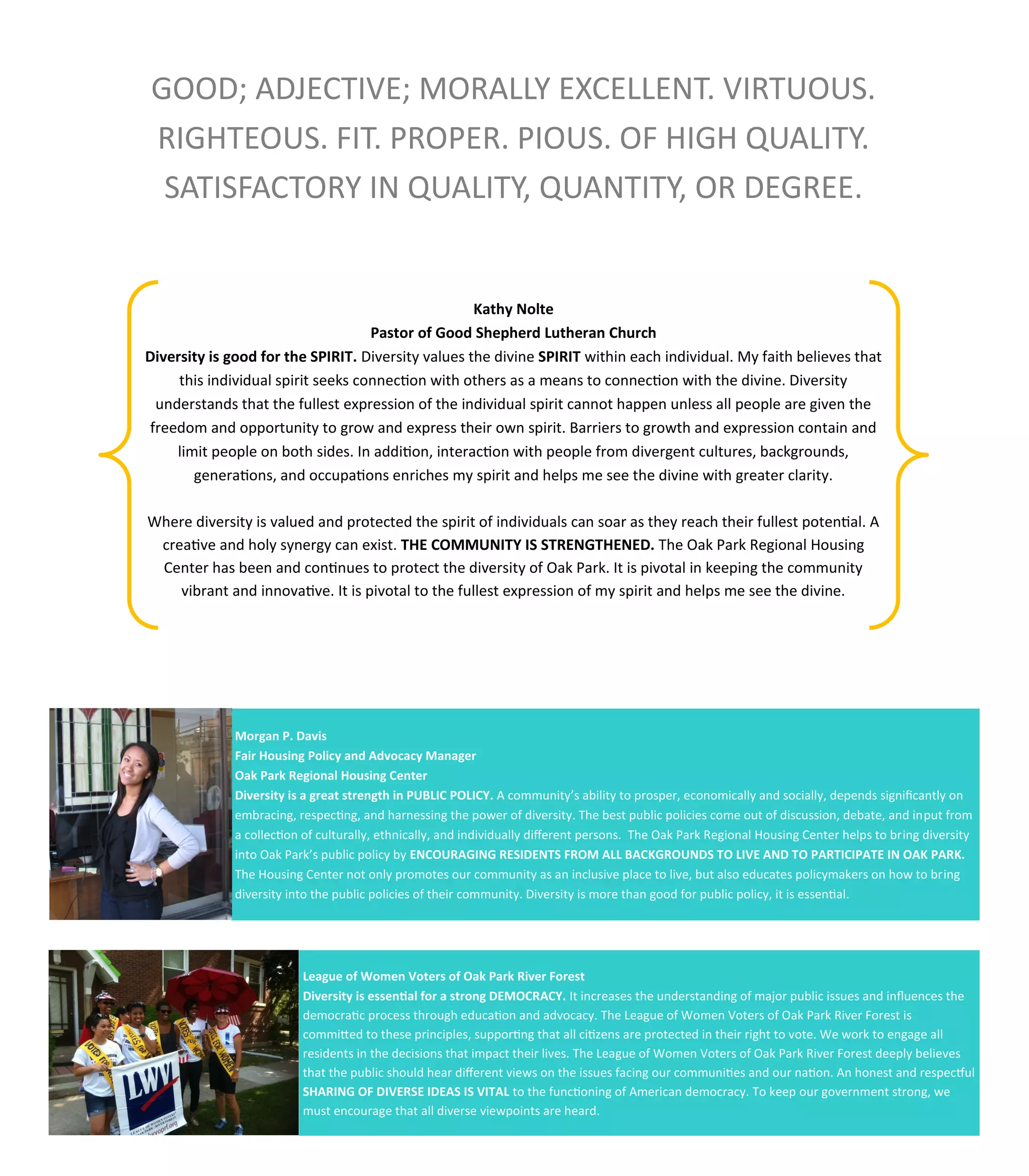 Diversity is Good ad campaign | PDF