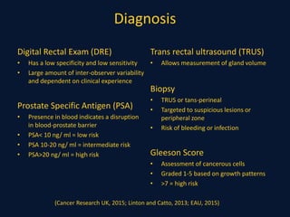 Prostate presentation | PPTX