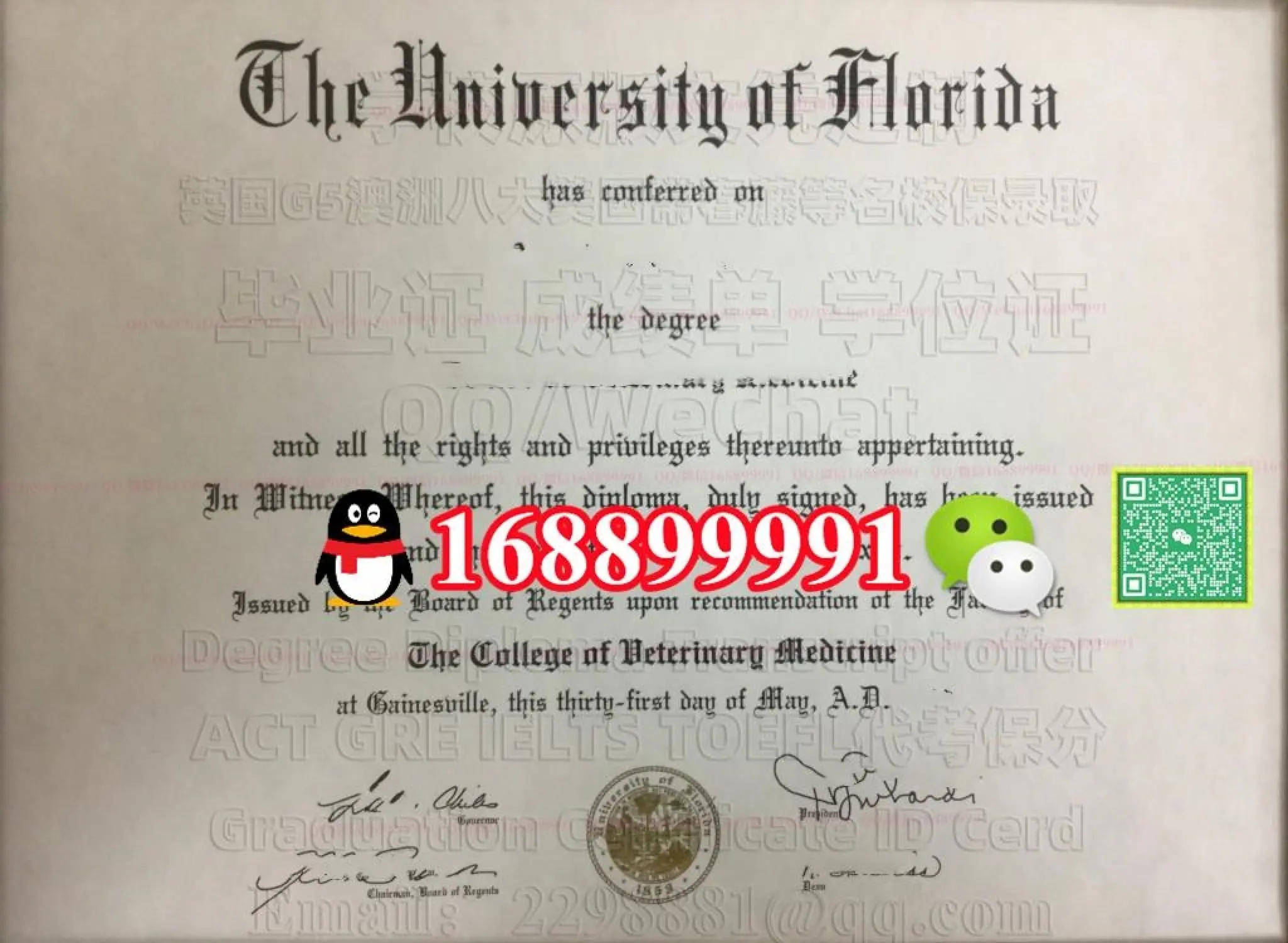 University of Florida degree offer diploma Transcript | PDF