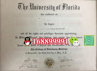 University of Florida degree offer diploma Transcript | PDF