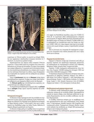 Το δίκοκκο σιτάρι (Φραγκιαδάκης Μ.) | PDF