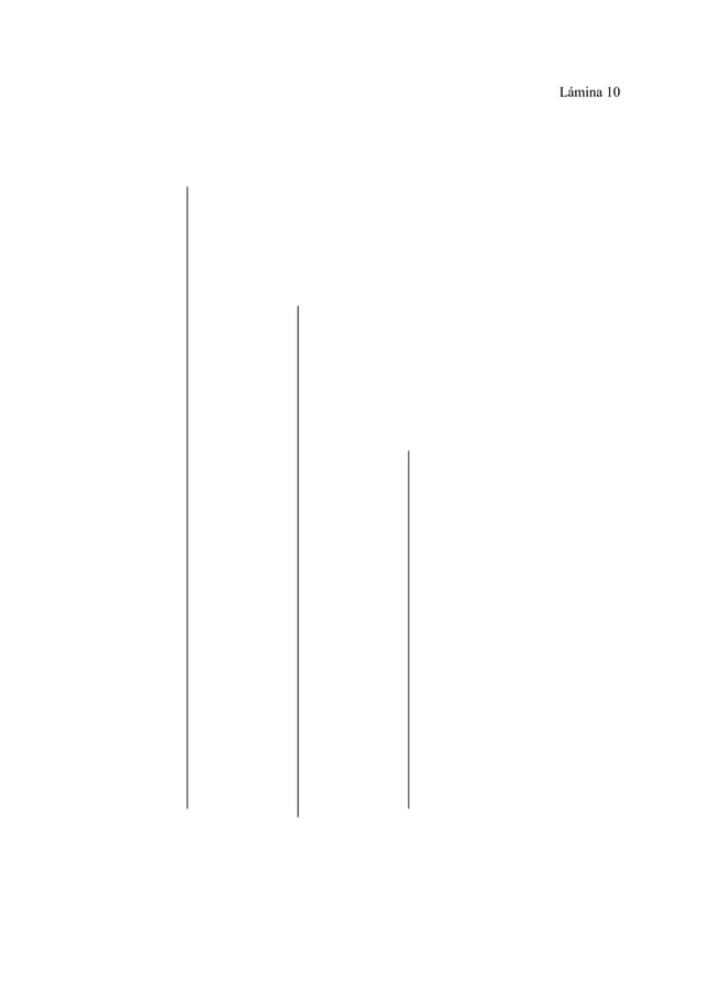 tepsi-protocolo-y-laminas, formato para imprimir | PDF | Science