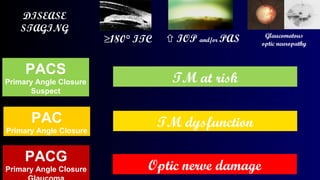 PACS lens AGS 2014 final | PPT