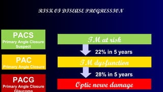 PACS lens AGS 2014 final | PPT