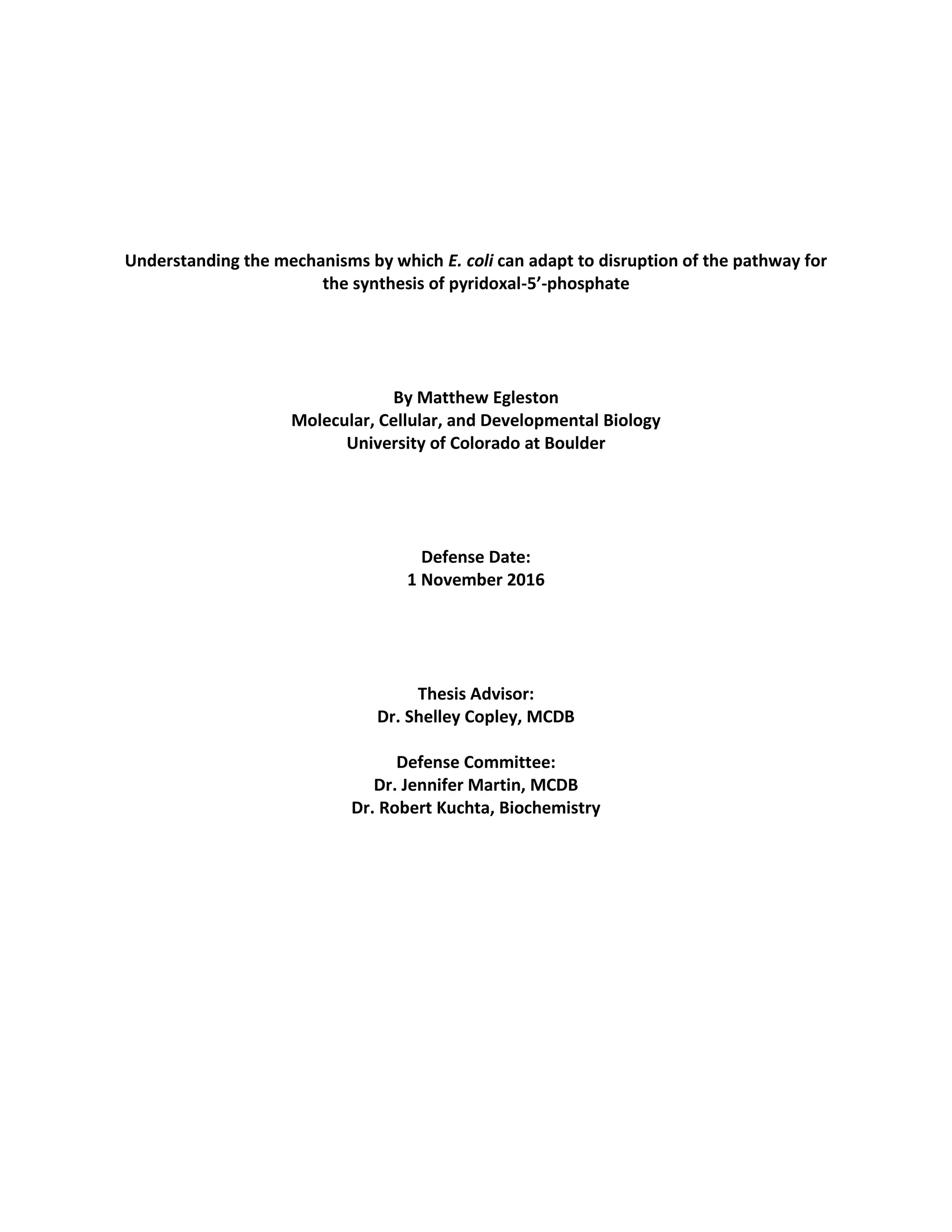 Thesis final copy | PDF