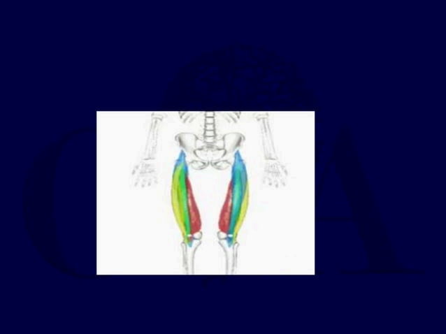 Patella fracture and extensor mechanism in injuries | PDF