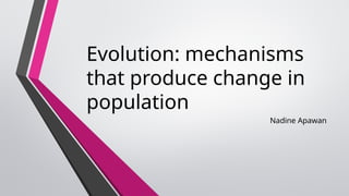 723595017-Mechanism-of-Evolution-ppt.pptx