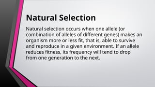 723595017-Mechanism-of-Evolution-ppt.pptx