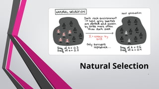 723595017-Mechanism-of-Evolution-ppt.pptx
