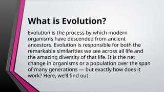 723595017-Mechanism-of-Evolution-ppt.pptx
