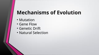 723595017-Mechanism-of-Evolution-ppt.pptx