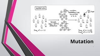 723595017-Mechanism-of-Evolution-ppt.pptx