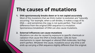 723595017-Mechanism-of-Evolution-ppt.pptx