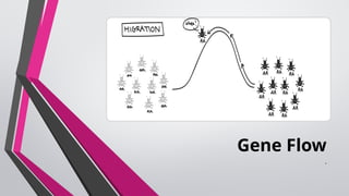 723595017-Mechanism-of-Evolution-ppt.pptx