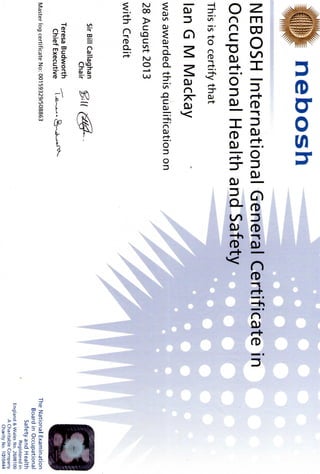 Nebosh Full Certificate | PDF