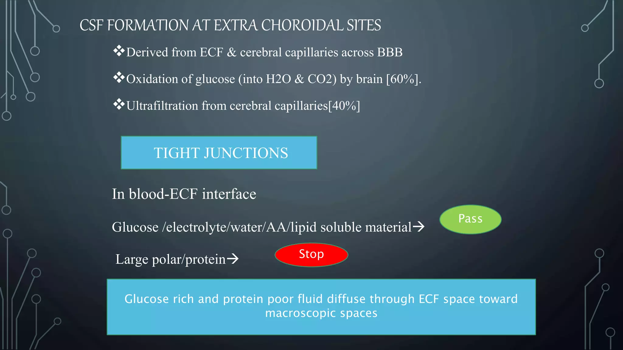 723_CSF_Anatomy_Physiology_and_Dynamics.pptx