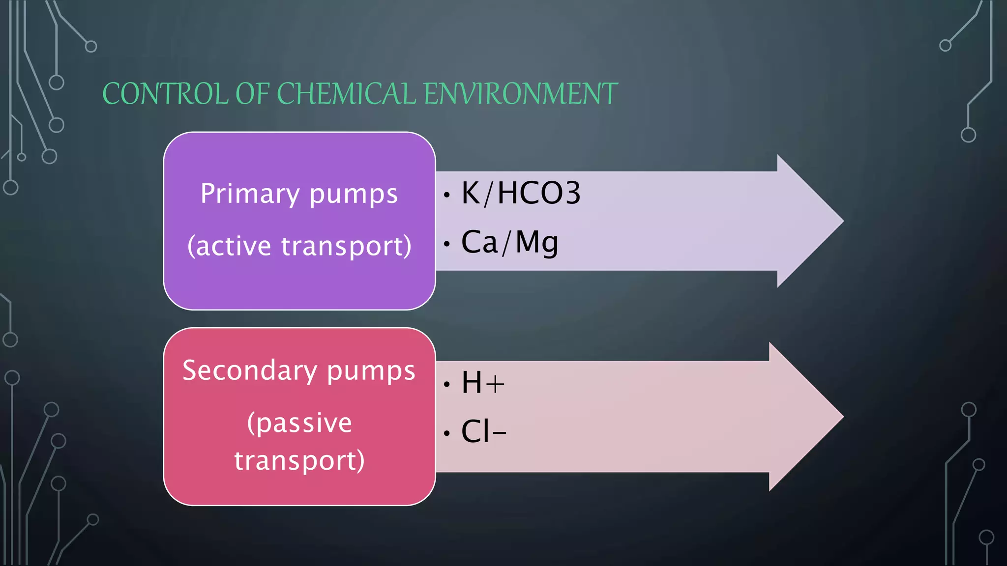 723_CSF_Anatomy_Physiology_and_Dynamics.pptx
