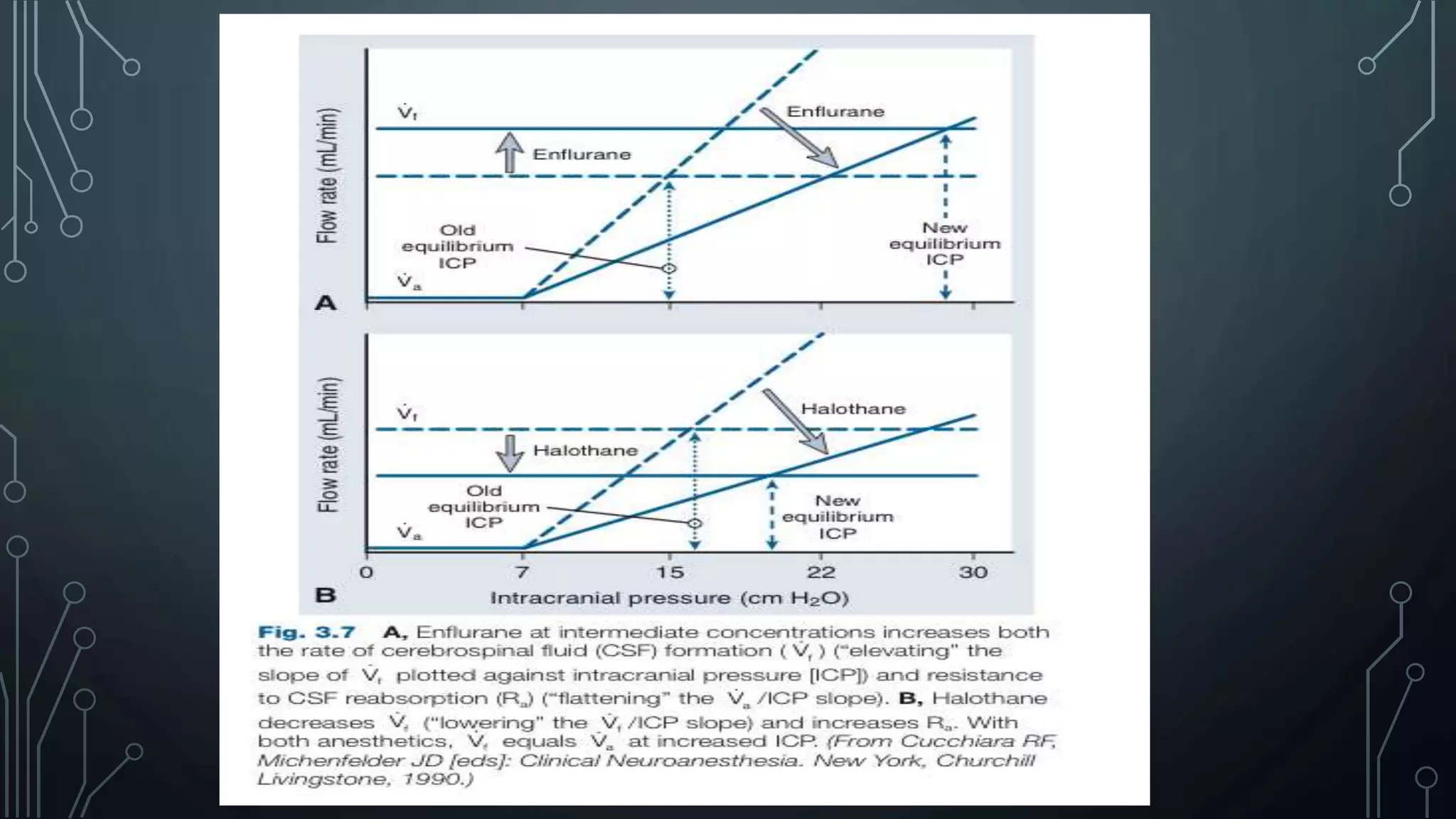 723_CSF_Anatomy_Physiology_and_Dynamics.pptx | Brain and Nervous System ...