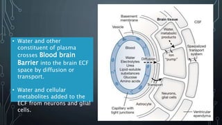 723_CSF_Anatomy_Physiology_and_Dynamics.pptx