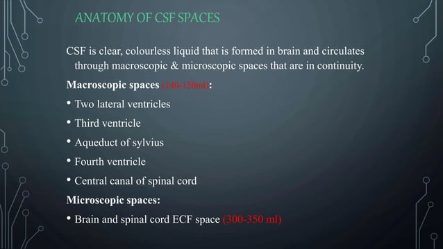 723_CSF_Anatomy_Physiology_and_Dynamics.pptx | Brain and Nervous System Disorders | Diseases and ...
