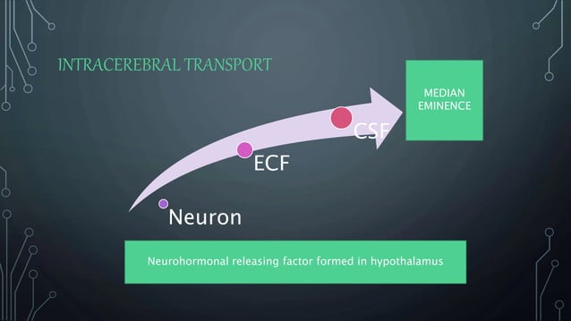 723_CSF_Anatomy_Physiology_and_Dynamics.pptx | Brain and Nervous System Disorders | Diseases and ...