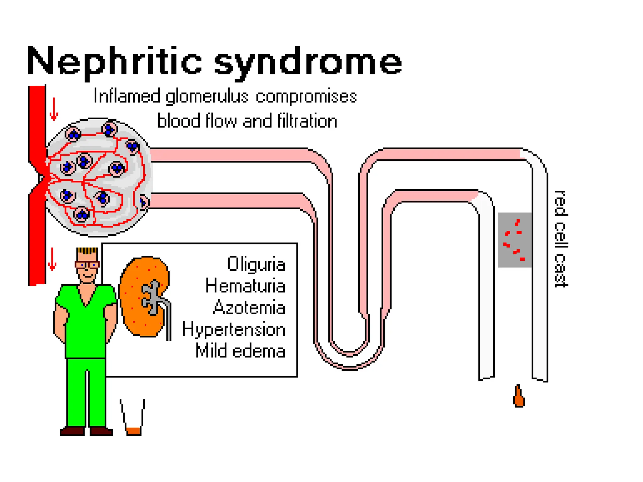 Renal pathology complete full with picture | PPT