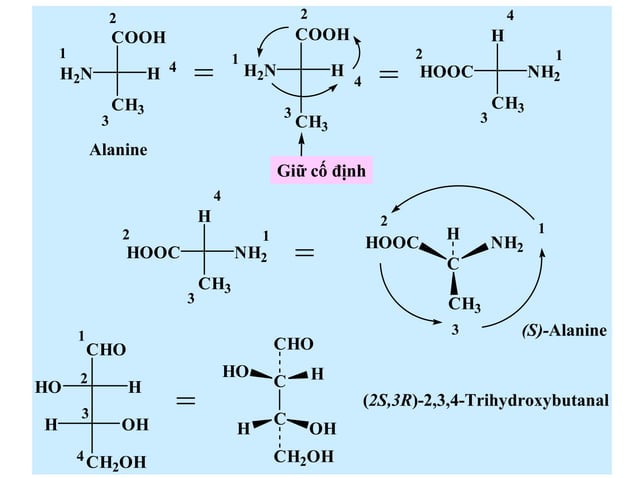 72458262-Đồng-phan-Lập-Thể.ppt hoa hữu cơ | PPT