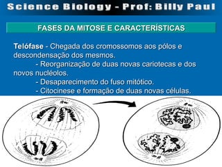 Aula Complea sobre Divisao-Celular-Mitose. | PPT