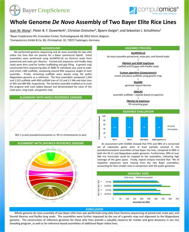 PAG2015_Rice_genome_poster_final_hi-res | PDF