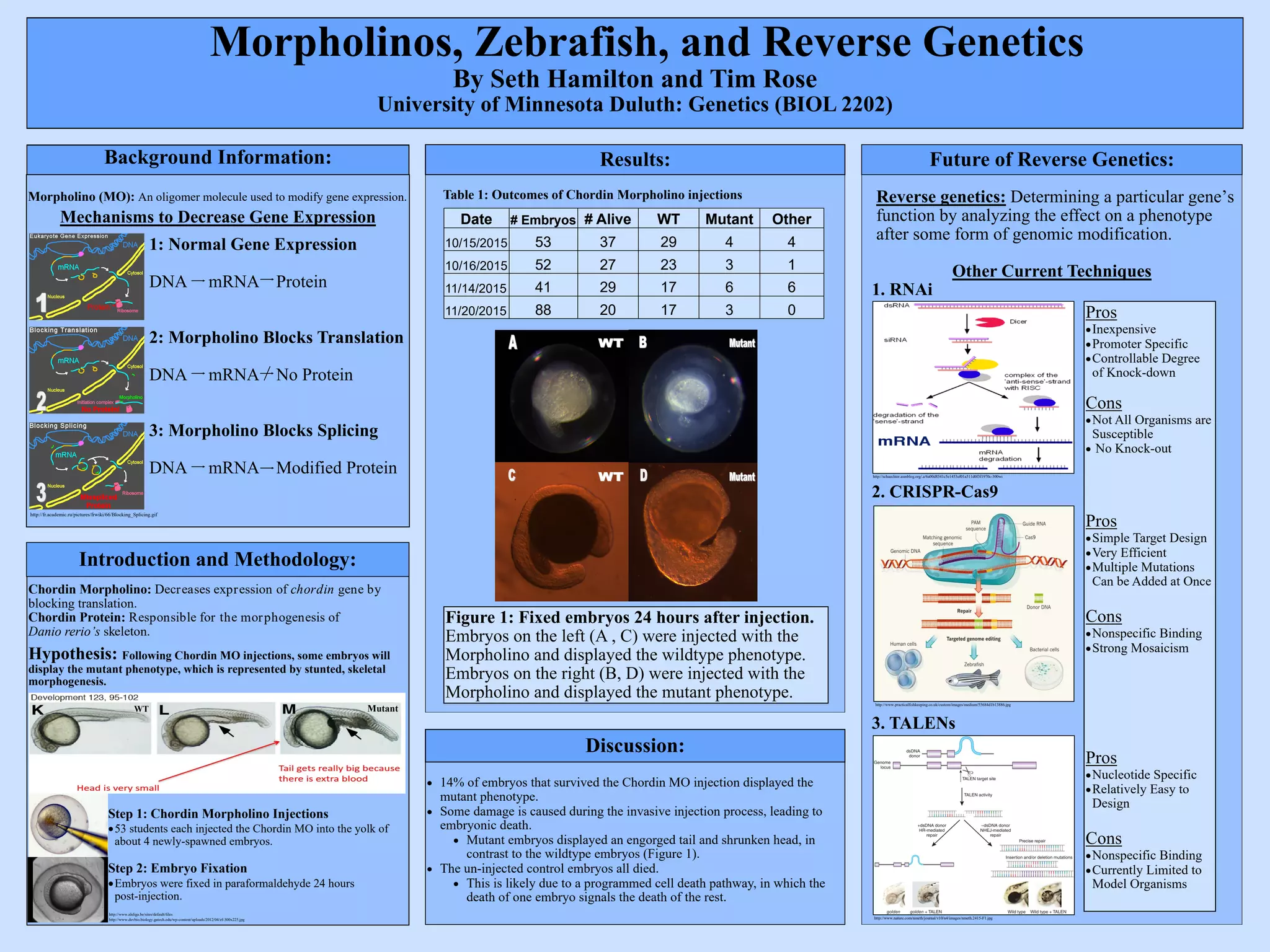 UROP Showcase Poster | PDF